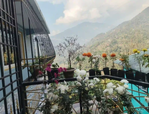 Dream Homestay - Reviews | Photos | Contact Details