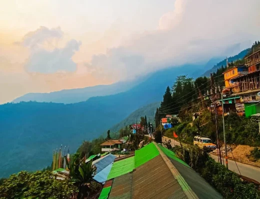 Shrestha Homestay - Reviews | Photos | Contact Details.
